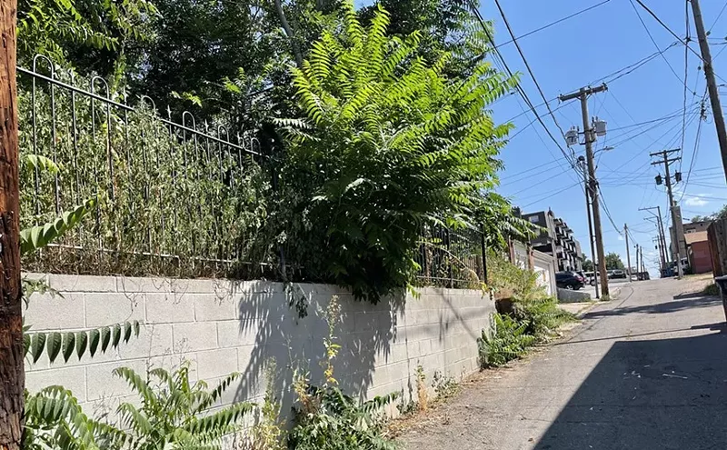 Boobies Rock! Scammer Adam Shryock Busted for $1M Mattress Charity ...